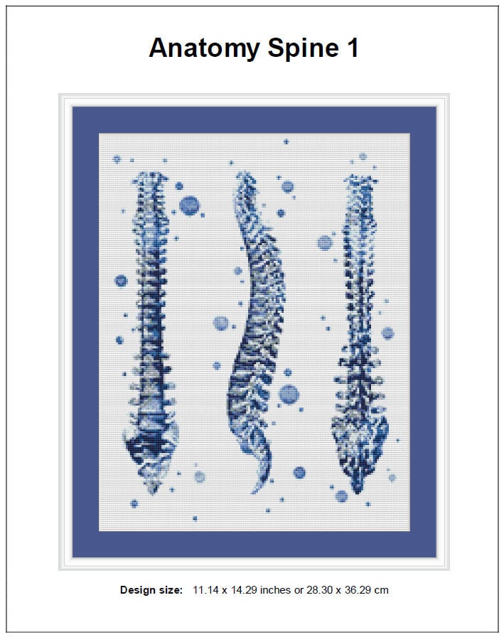 Anatomy Spine Cross Stitch Pattern 2 Instant PDF Download - Etsy