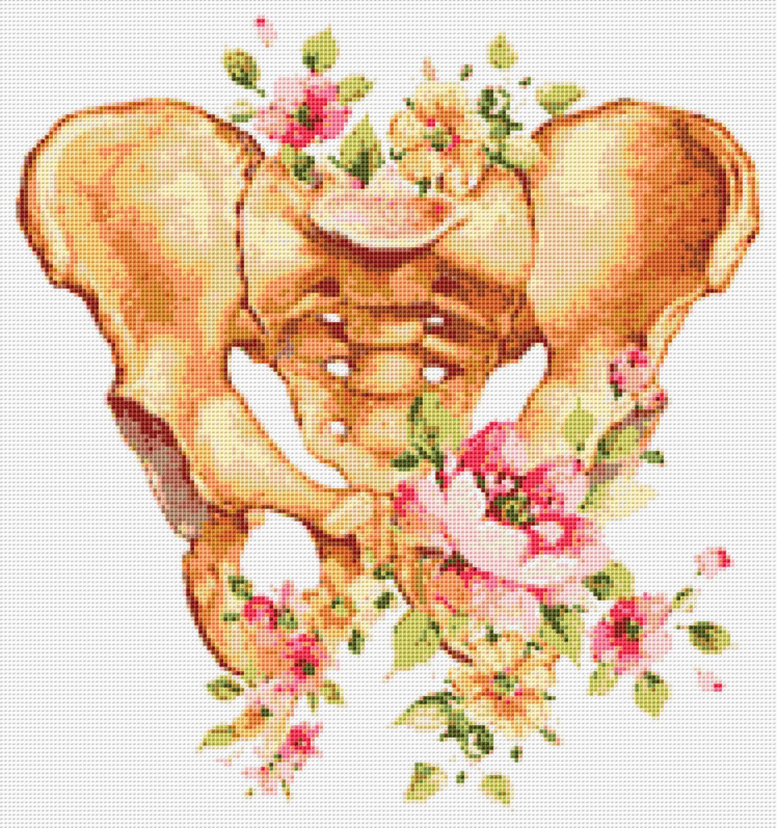 Anatomy Pelvis Cross Stitch Pattern 3 Instant PDF Download - Etsy