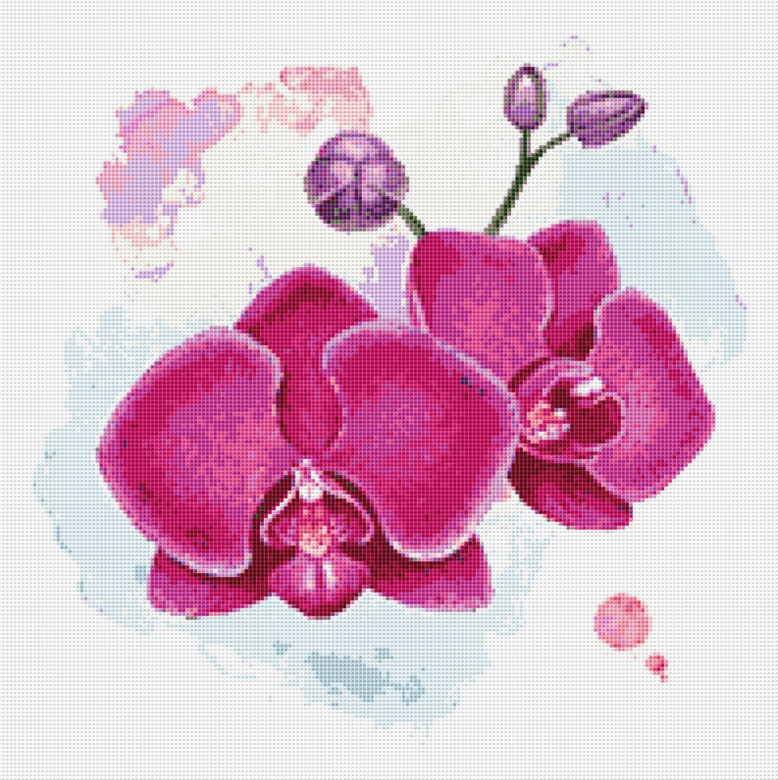 Orchids Cross Stitch Pattern 1 Instant PDF Download Flowers - Etsy UK