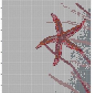 Coral Cross Stitch Pattern 2 Instant PDF Download Nautilus | Etsy