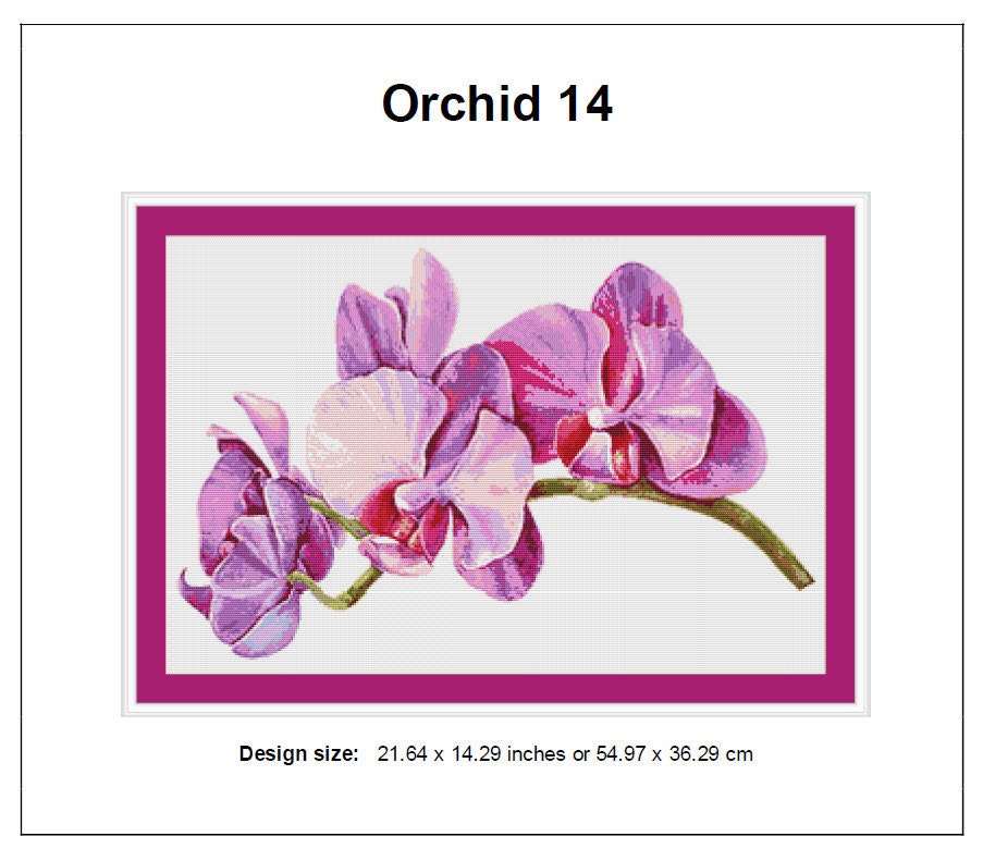 Orchid Cross Stitch Pattern 14 Instant PDF Download - Flowers ...