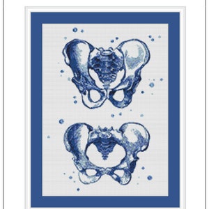 Anatomy Pelvis Cross Stitch Pattern 2 Instant PDF Download - Hip ...