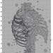 Anatomy Ribcage Cross Stitch Pattern 2 Instant PDF Download - Etsy