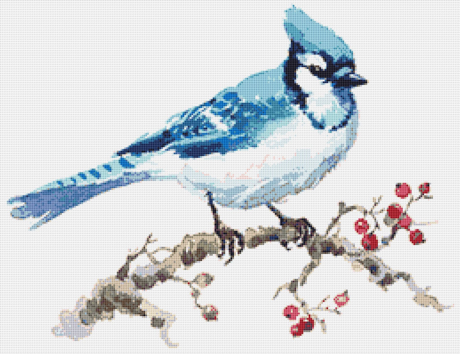 Blue Jay Cross Stitch Pattern Instant PDF Download Blue Jay - Etsy