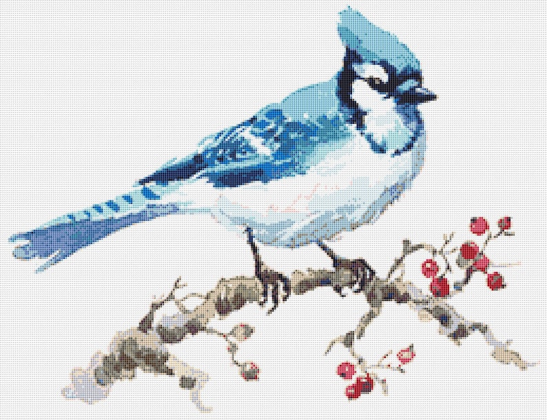 Blue Jay Cross Stitch Pattern Instant PDF Download Blue Jay - Etsy