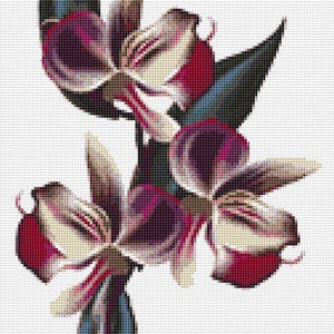 Orchid Cross Stitch Pattern 8 Instant PDF Download Flowers - Etsy