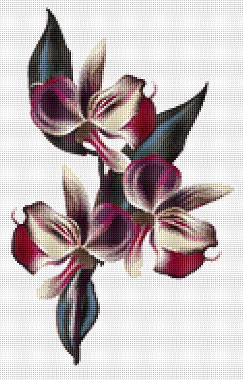 Orchid Cross Stitch Pattern 8 Instant PDF Download Flowers | Etsy