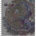 Dinosaur Cross Stitch Pattern 5 Instant PDF Download - Etsy
