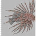 Lion Fish Cross Stitch Pattern 1 Instant Download Instant PDF Download ...