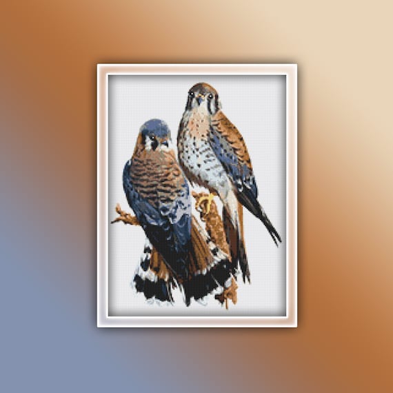 Falcons Cross Stitch Pattern 1 Instant Download Instant PDF | Etsy