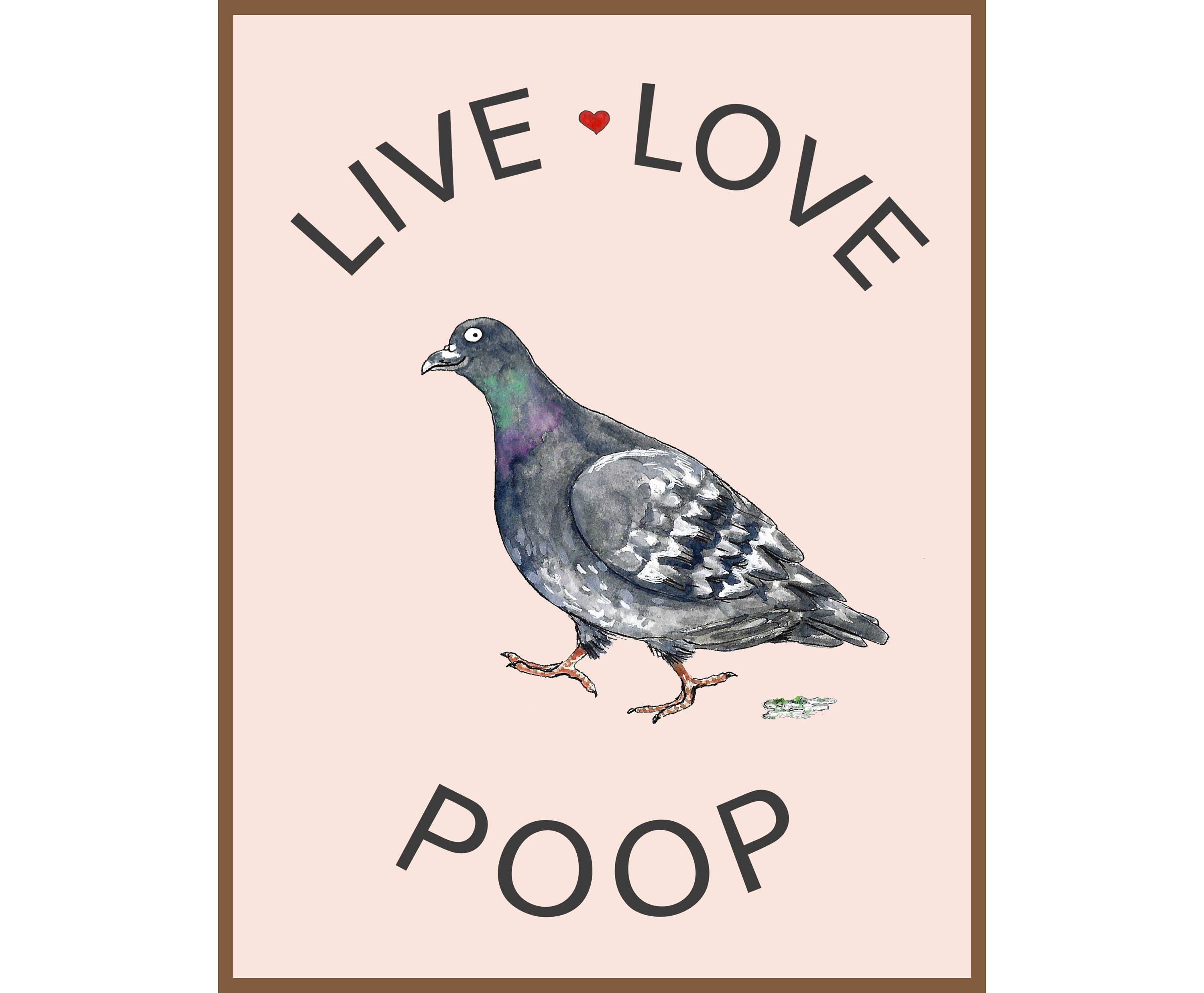 Pigeon Poop Clip Art Funny