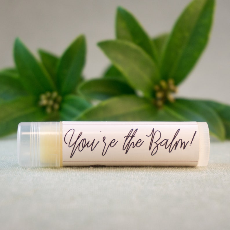 YOURE THE BALM! Lip Balm - Teacher's Gift, Friend Gift, Unique Gifts ...