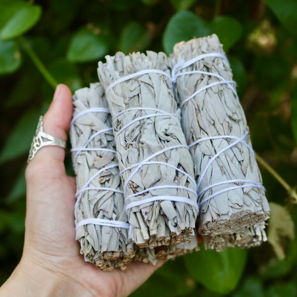 Sage Bundle - Etsy
