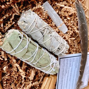 Beginner Smudge Kit Gift Box With Feather, Abalone Shell Dish, Gemstone ...