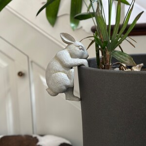 Large Parlane Rabbit Pot Hanger - Etsy