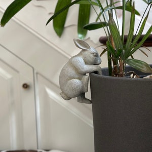 Large Parlane Rabbit Pot Hanger - Etsy