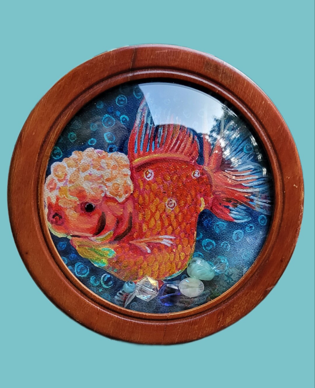 Glitzy Acrylic Goldfish Original With Glass Dome and Shaker - Etsy