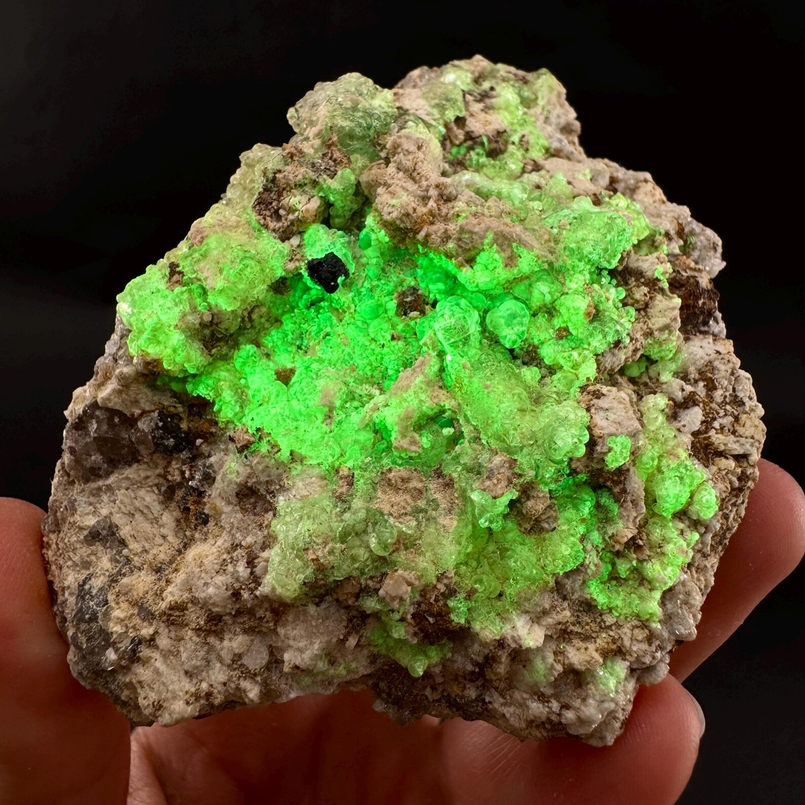 UV Reactive Hyalite Opal | Fluorescent Mineral Specimen From Namibia - Etsy