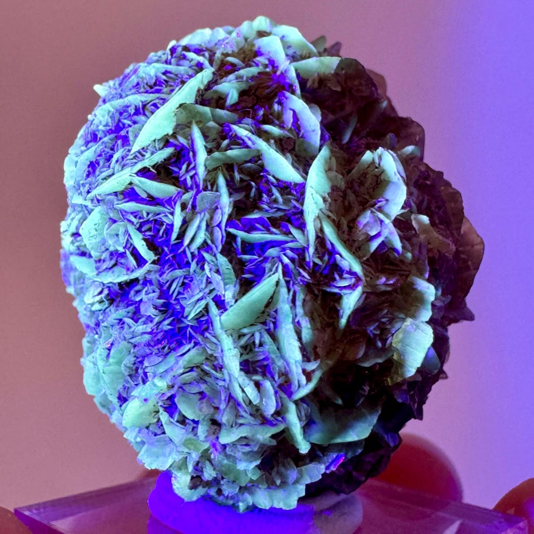 Golden Selenite Rosette | Fluorescent UV Reactive Gypsum Crystal - Etsy