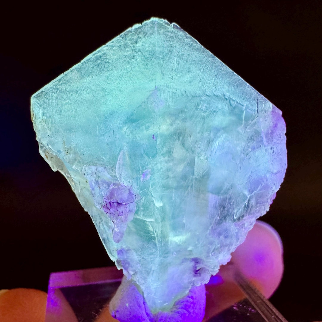 Golden Selenite Blade | Fluorescent UV Reactive Gypsum Crystal - Etsy