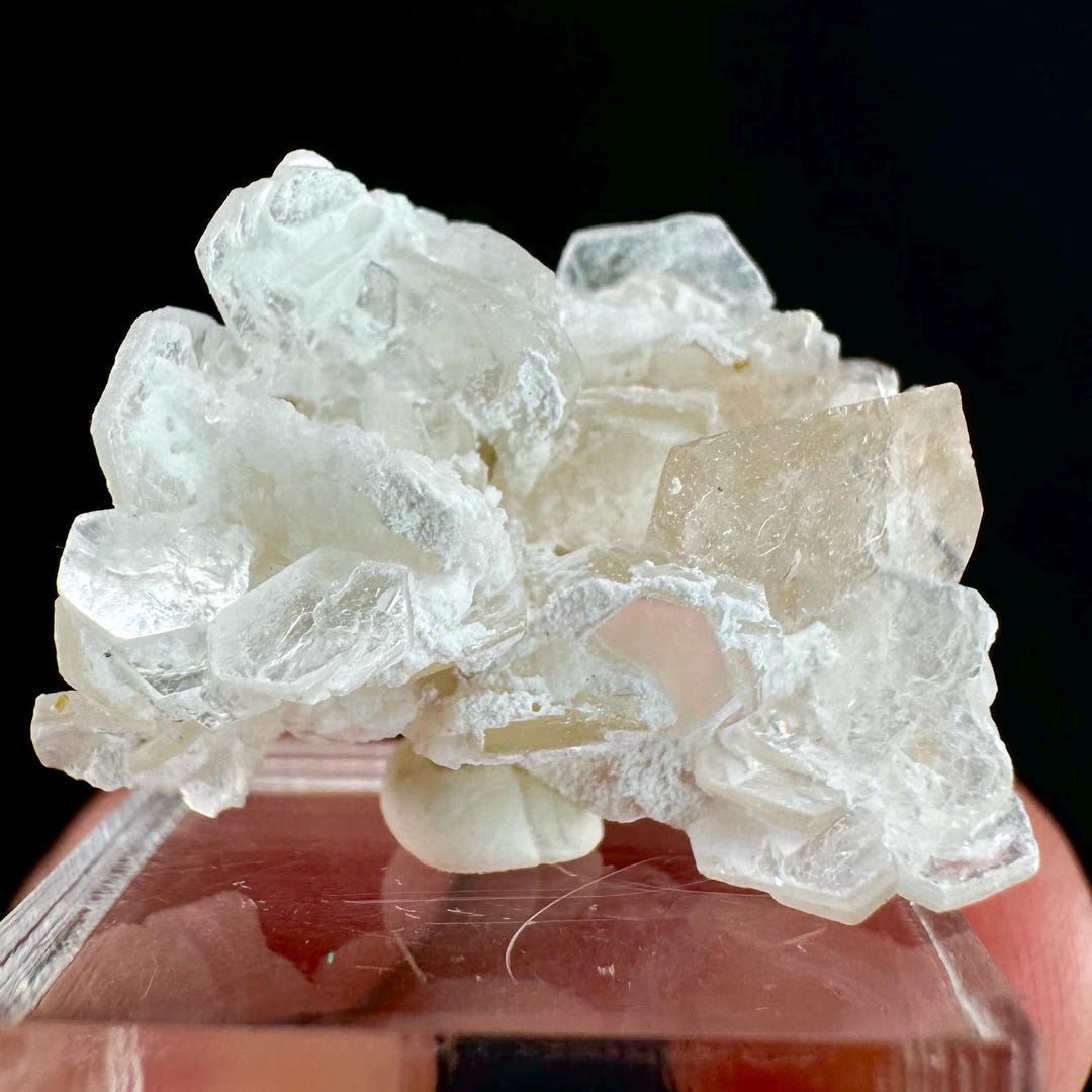 Champagne Topaz on Albite Matrix (pakistan) | Topaz Crystal, Rare ...