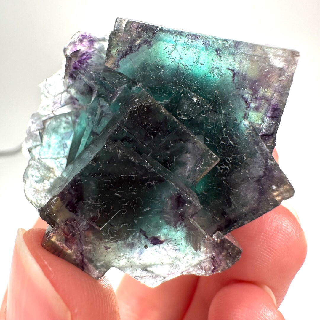 Okorusu Fluorite (namibia) | Fluorite Cluster, Cubic Fluorite, Green ...
