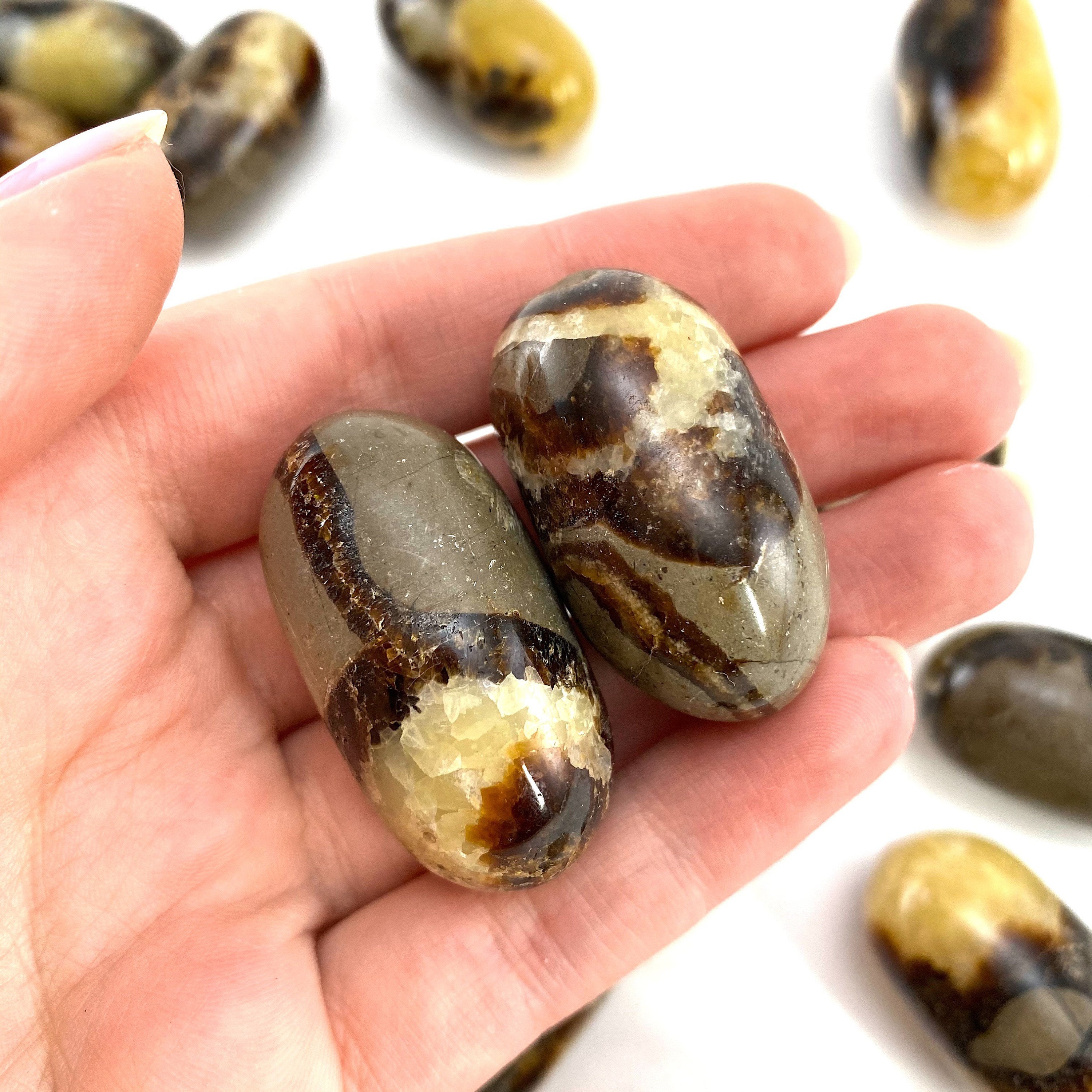 ONE Polished Septarian septarian stone tumbled septarian | Etsy