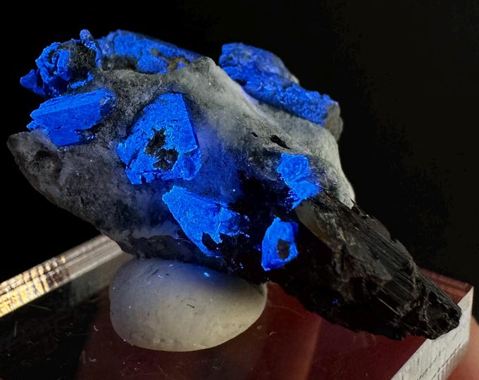 Rare! Benitoite & Neptunite on Natrolite (california, USA) | UV ...