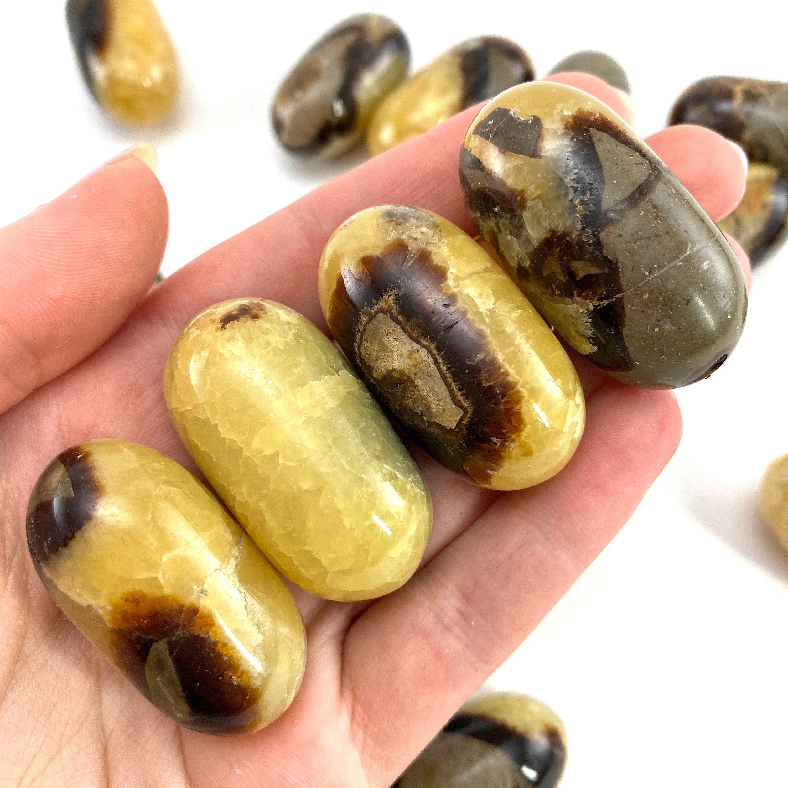 ONE Polished Septarian septarian stone tumbled septarian | Etsy