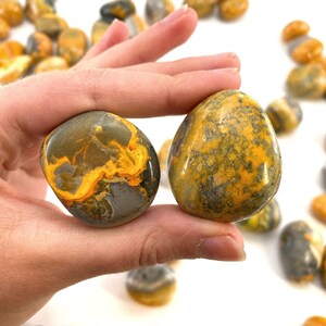 ONE Bumblebee Calcite Tumble Polished Bumble Bee Calcite, Tumbled ...