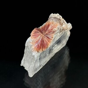 Xonotlite in Selenite W/ Inesite (south Africa) | Inesite Crystal, Rare ...