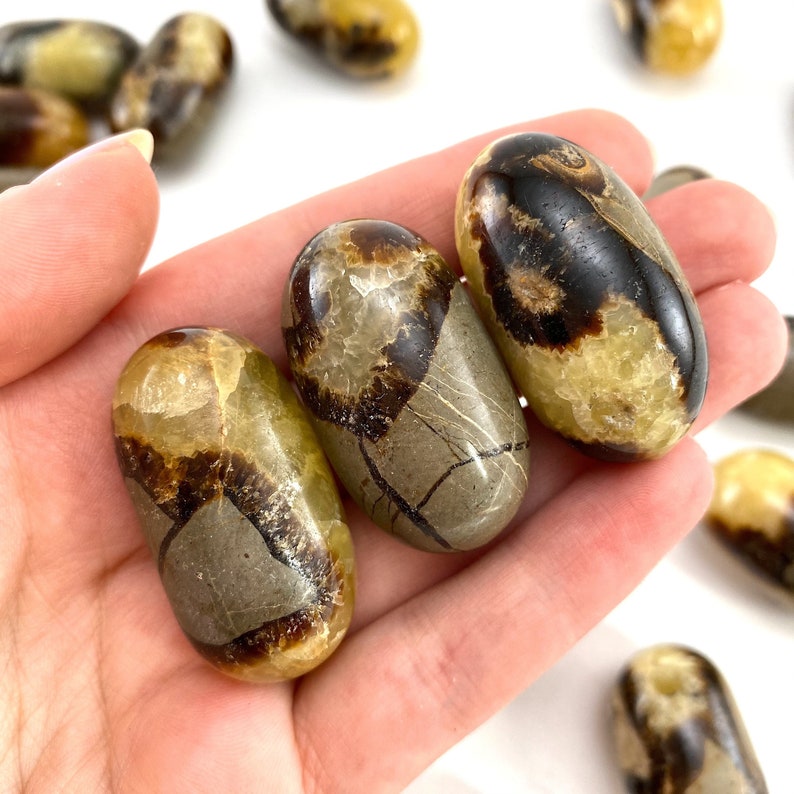 ONE Polished Septarian Septarian Stone Tumbled Septarian - Etsy