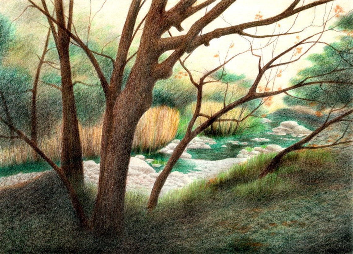 Drawing of Creek Behind Tree Trunks, Landscape, Landscape Drawing ...
