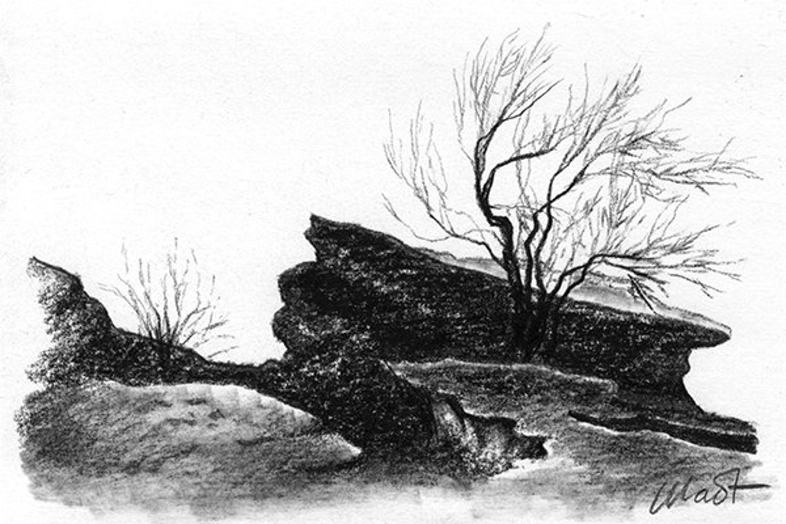 Charcoal Pencil Sketch, 6" X 4" - Drawing, Nature, Bare Trees - Old ...