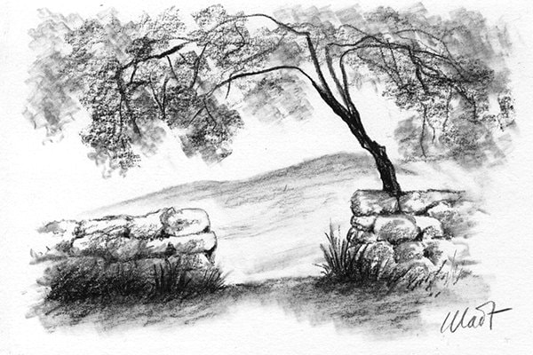 Charcoal Drawing Of Nature