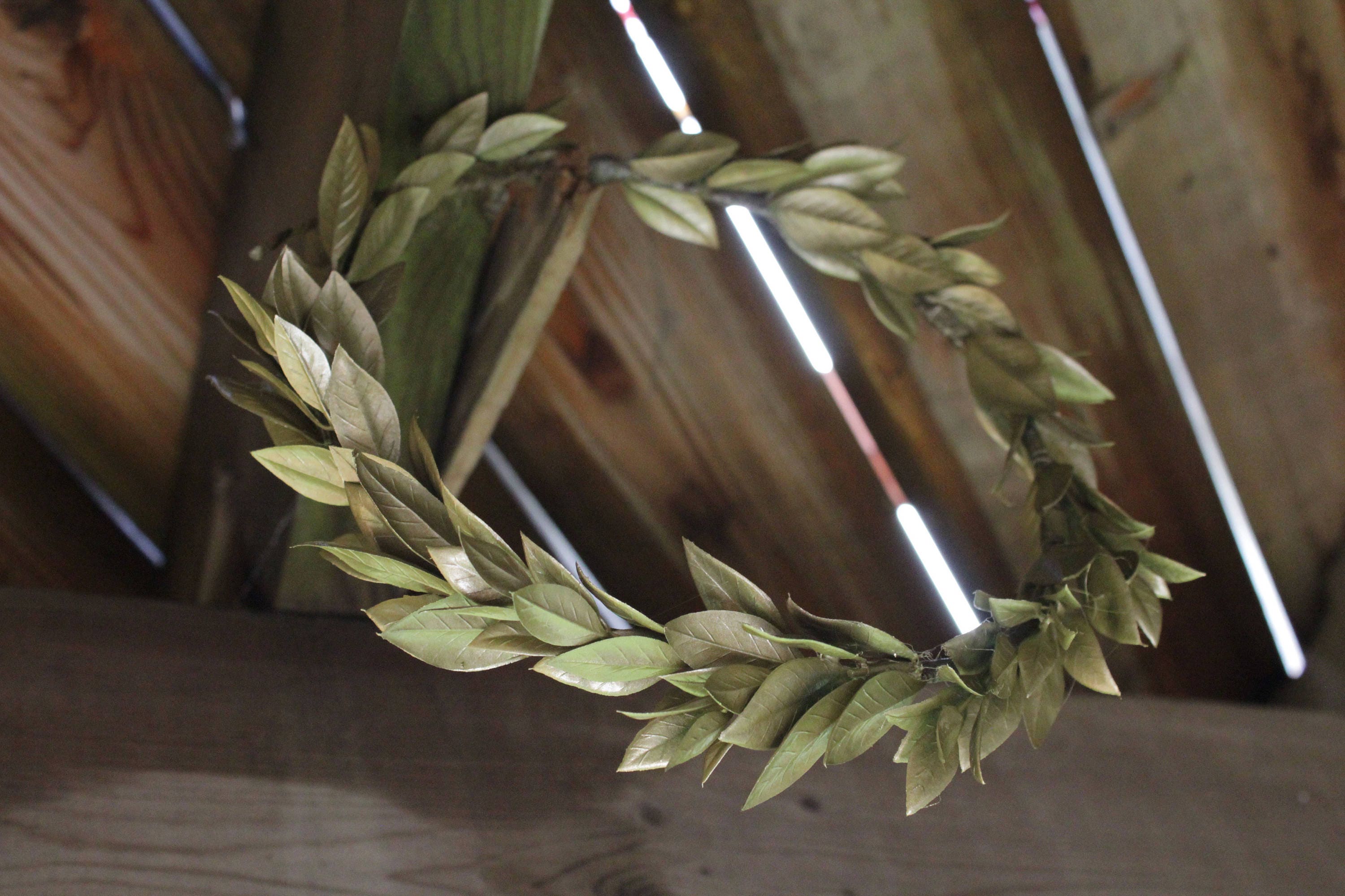 Gold Olive Leaf Crown olive leaf crown greek crown fall | Etsy