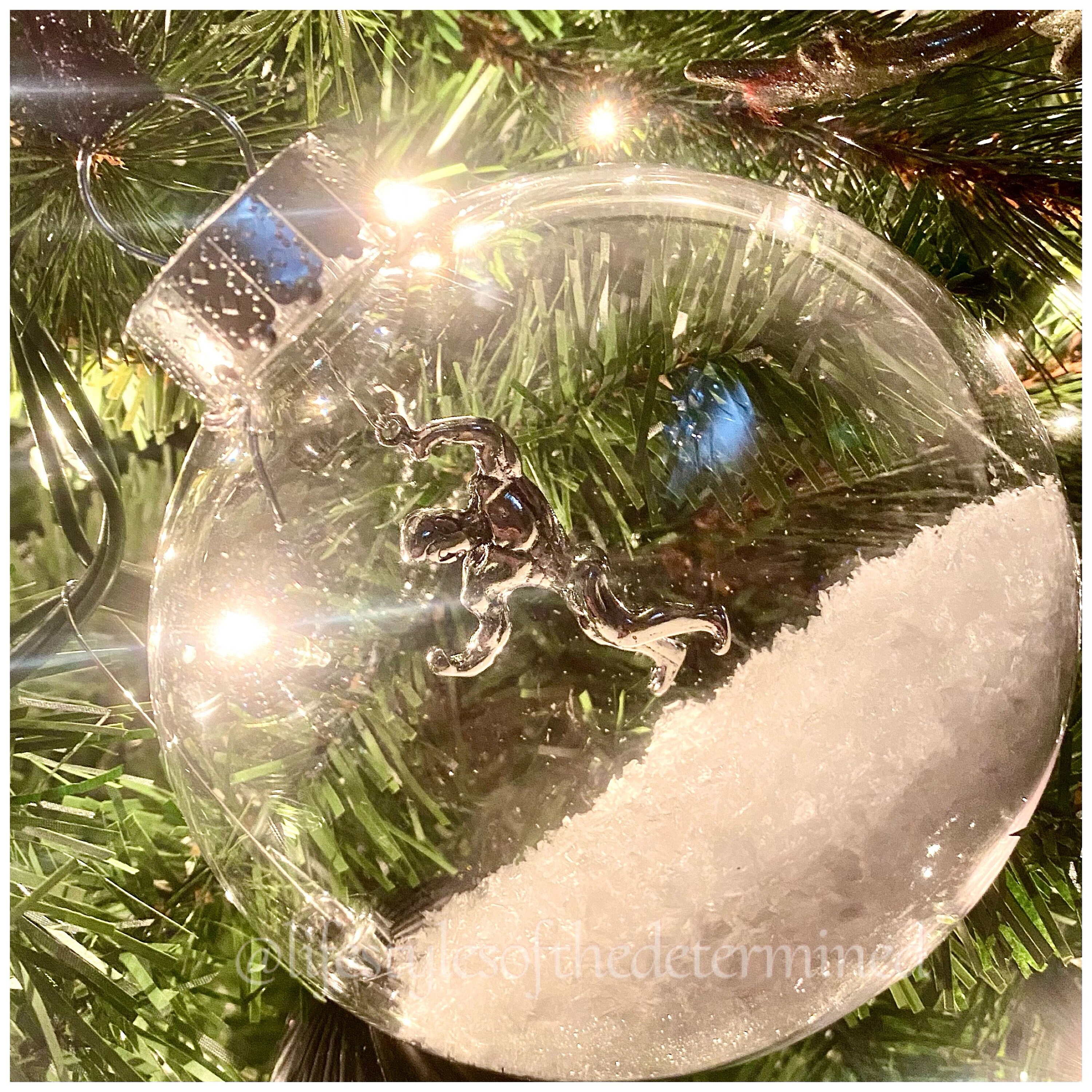 Mens Classic Physique, Ornament, Ifbb, Npc, Competitor, Bodybuilder ...