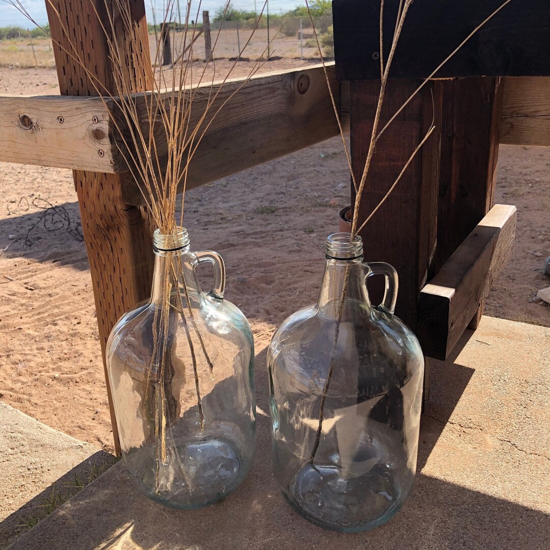 High Desert Boho Glass Jug With Dried Desert Grass Dark Earthy - Etsy