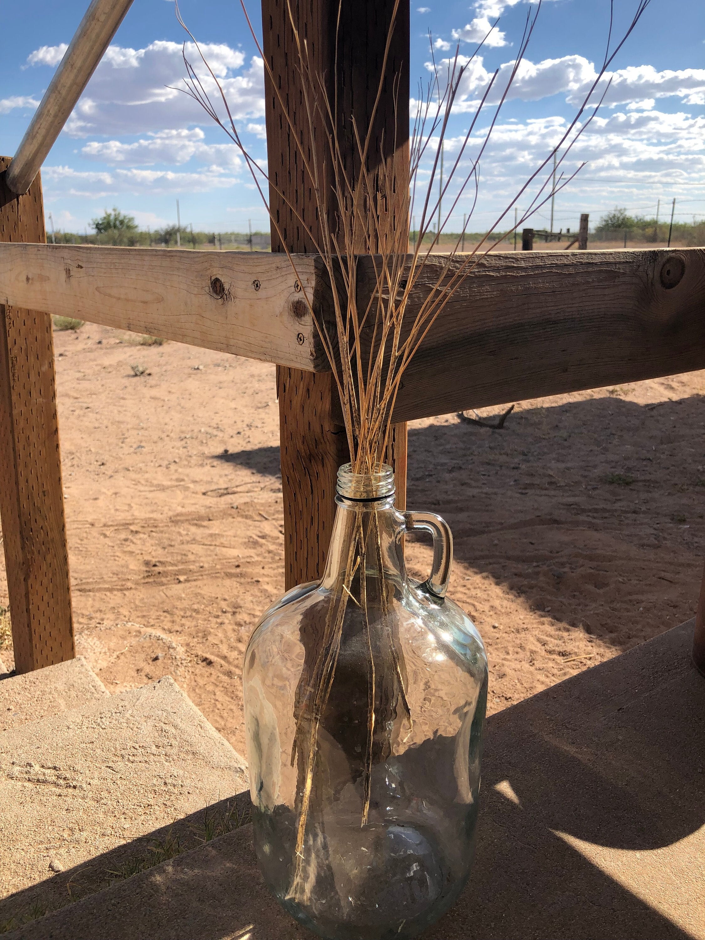 High Desert Boho Glass Jug With Dried Desert Grass Dark Earthy - Etsy