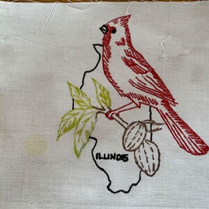 Vintage State Bird Embroidery Quilt Square: Americana Craft Fabric - Etsy