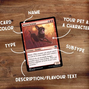 DIGITAL DOWNLOAD for Custom MTG Cards With Your Pet Illustration | Fun ...