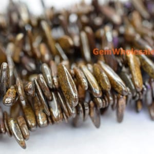 15.5" Bronzite Tooth Chips 12~20mm, High Quality Brown Color Gemstone ...