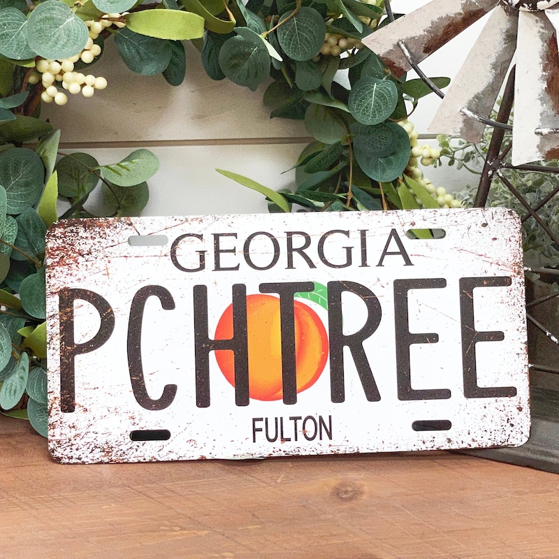Georgia State Plate - Etsy
