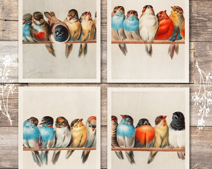 A Perch of Birds Art Prints set of 4 - Etsy