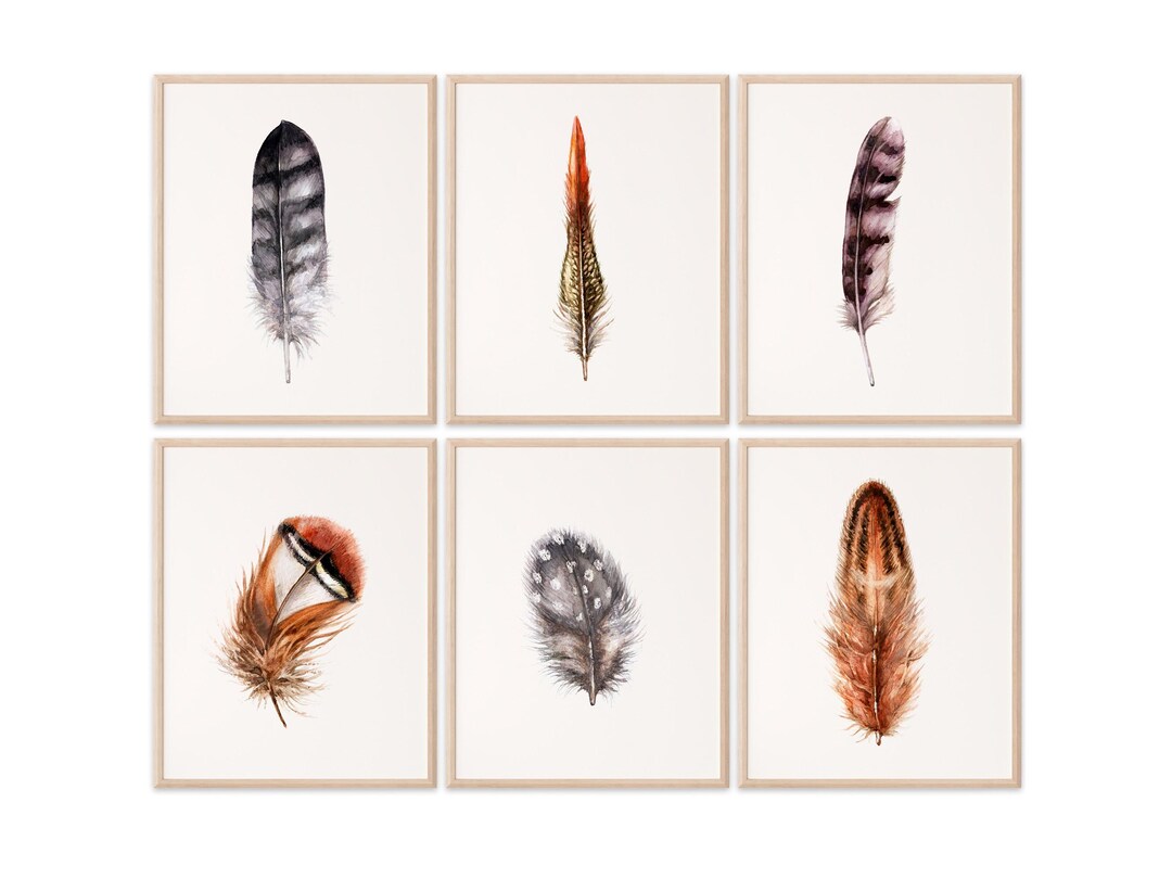 Feather Art Prints (set of 6) - Etsy
