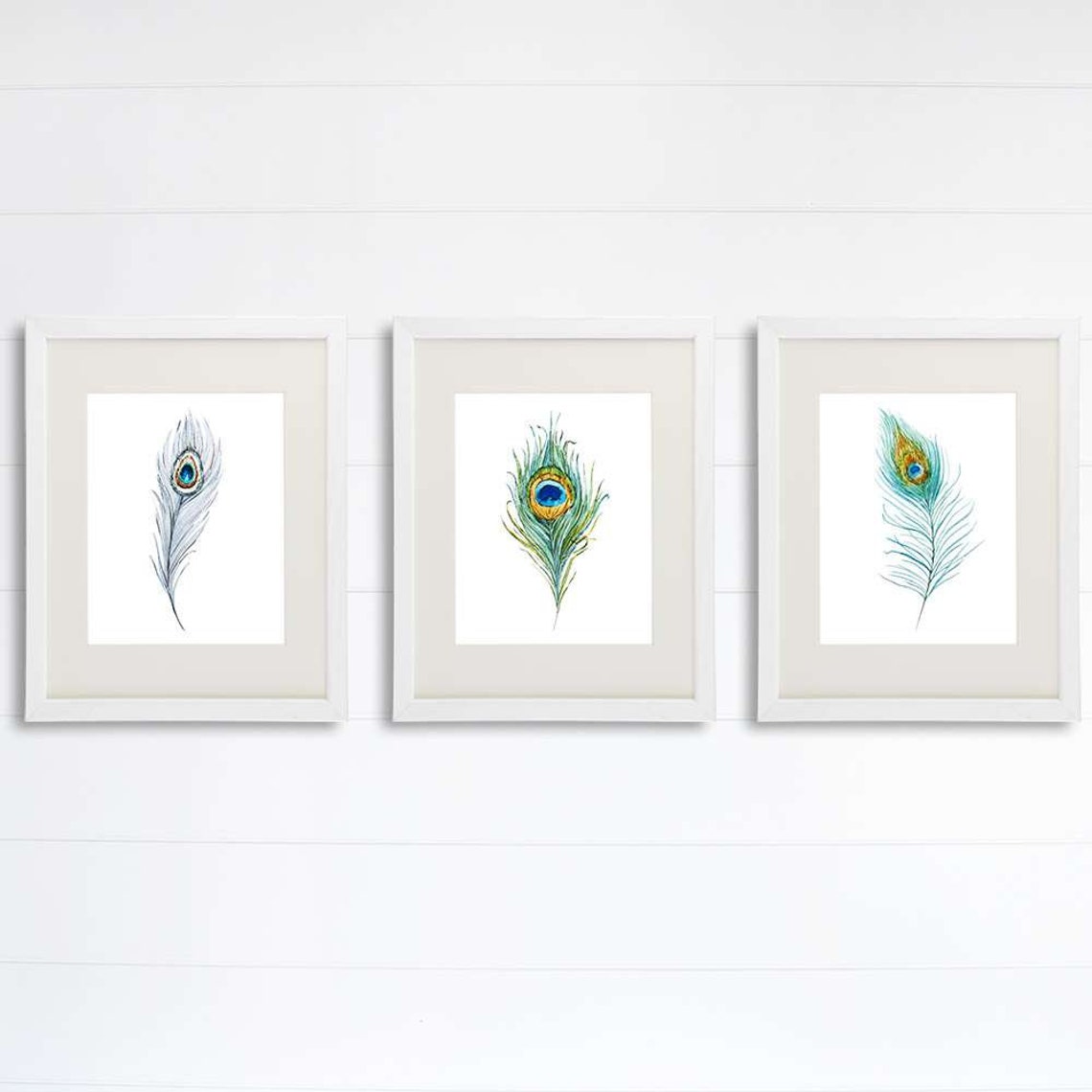 Peacock Feathers Wall Art Prints Set of 3 8x10s | Etsy