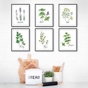 Botanical Prints Kitchen Herbs Wall Art - (set of 6) - 8x10s - Etsy