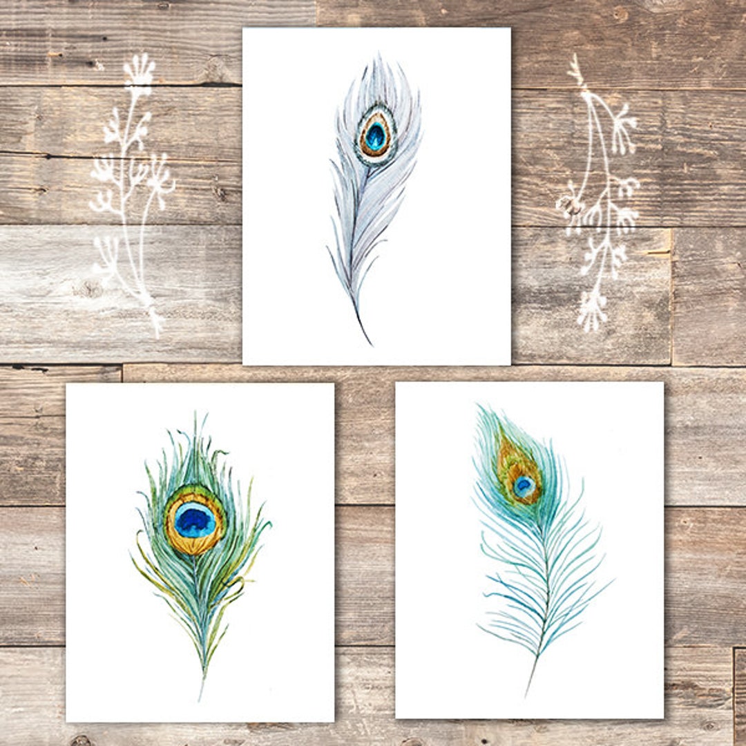 Peacock Feathers Wall Art Prints set of 3 8x10s - Etsy
