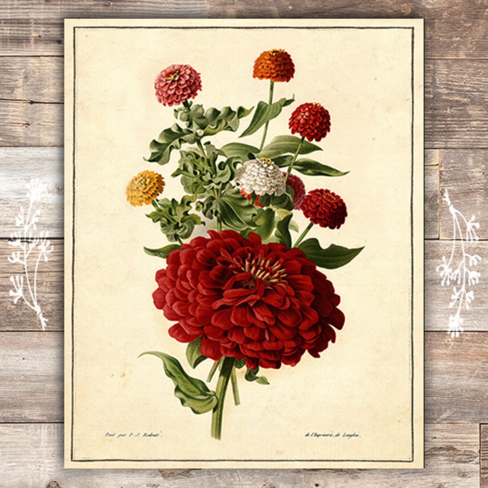 Vintage Botanical Flowers Art Prints Set of 6 8x10s | Etsy