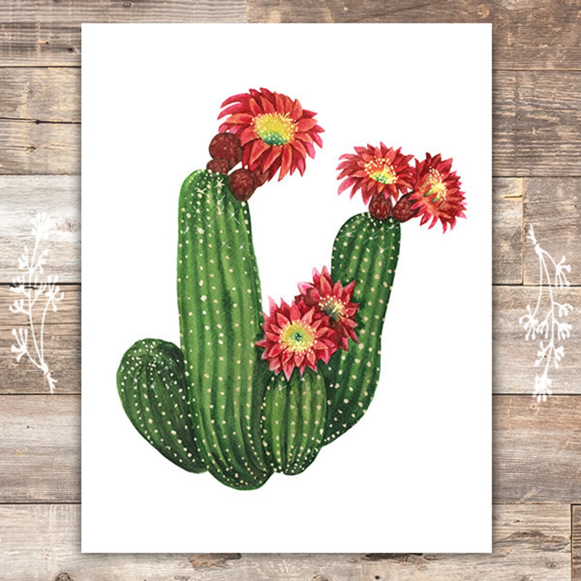 Cactus Wall Decor Art Prints set of 4 8x10s Botanical - Etsy